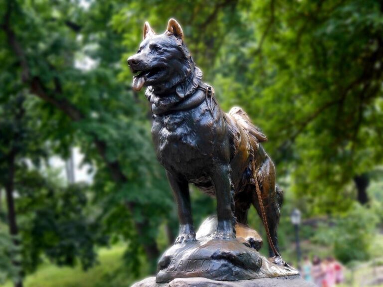 Balto: The Brave Sled Dog Who Saved a Town