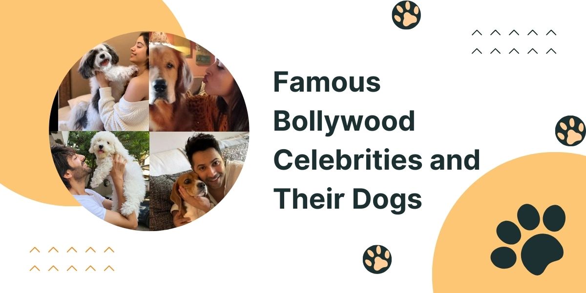 20 Famous Bollywood Celebrities and Their Dogs - WoofTroop