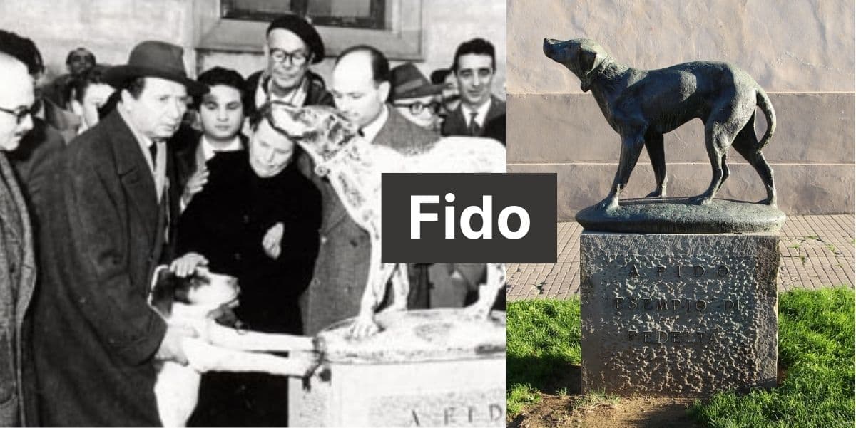 Fido: The Italian Dog Who Showed the World True Loyalty - WoofTroop