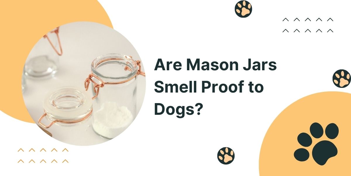 Are Mason Jars Smell Proof to Dogs? - WoofTroop